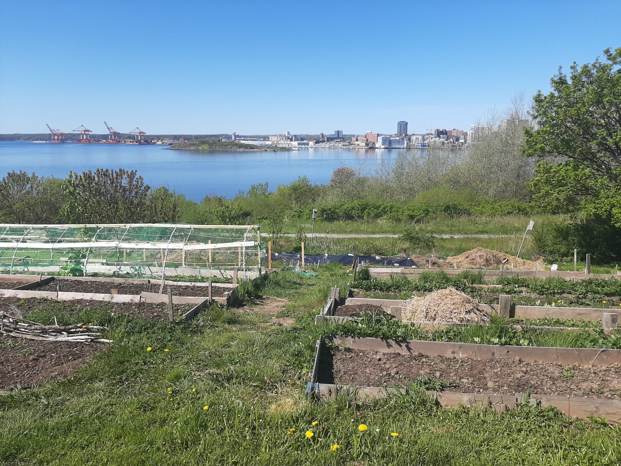 What Is Creative Placemaking? | Canada's Placemaking Community