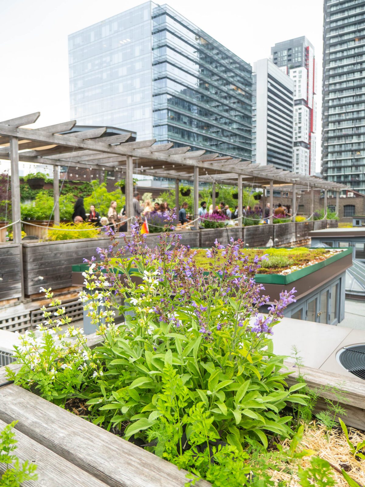 A Celebration of Canadian Placemakers | Canada's Placemaking Community