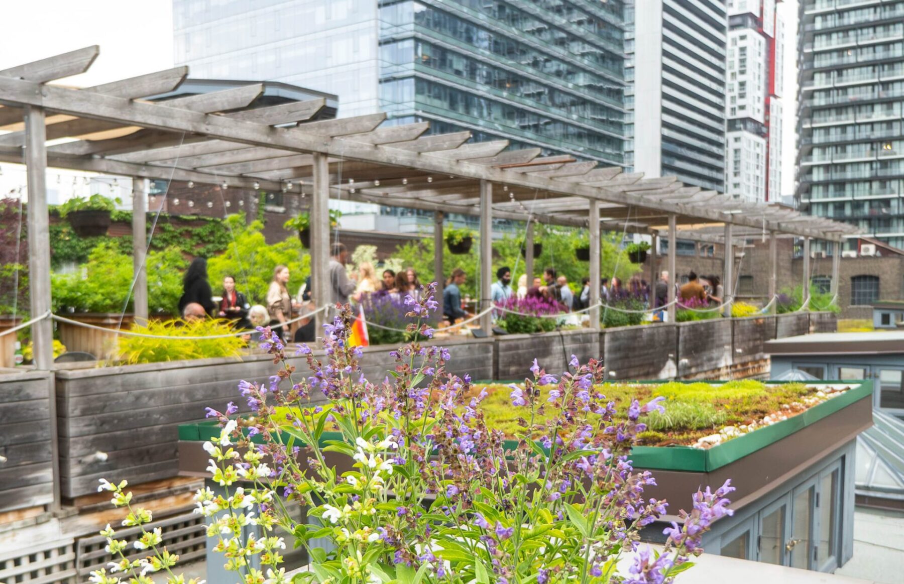 Qu'est-ce que le Placemaking créatif ? | La communauté canadienne du ...