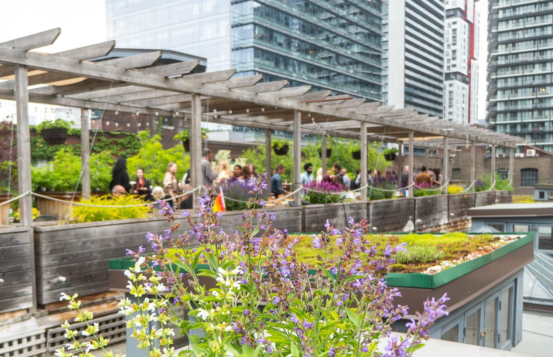 A Celebration of Canadian Placemakers | Canada's Placemaking Community