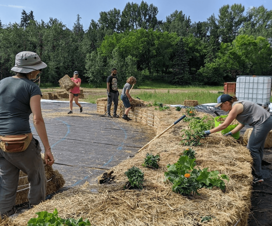 The Power of Placemaking | Canada's Placemaking Community